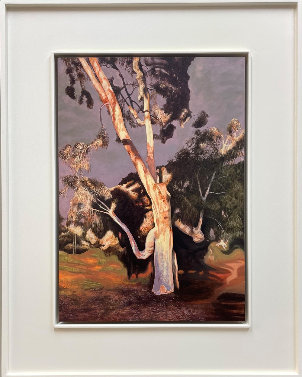 Robert Gear // Wandoo | Art Collective WA