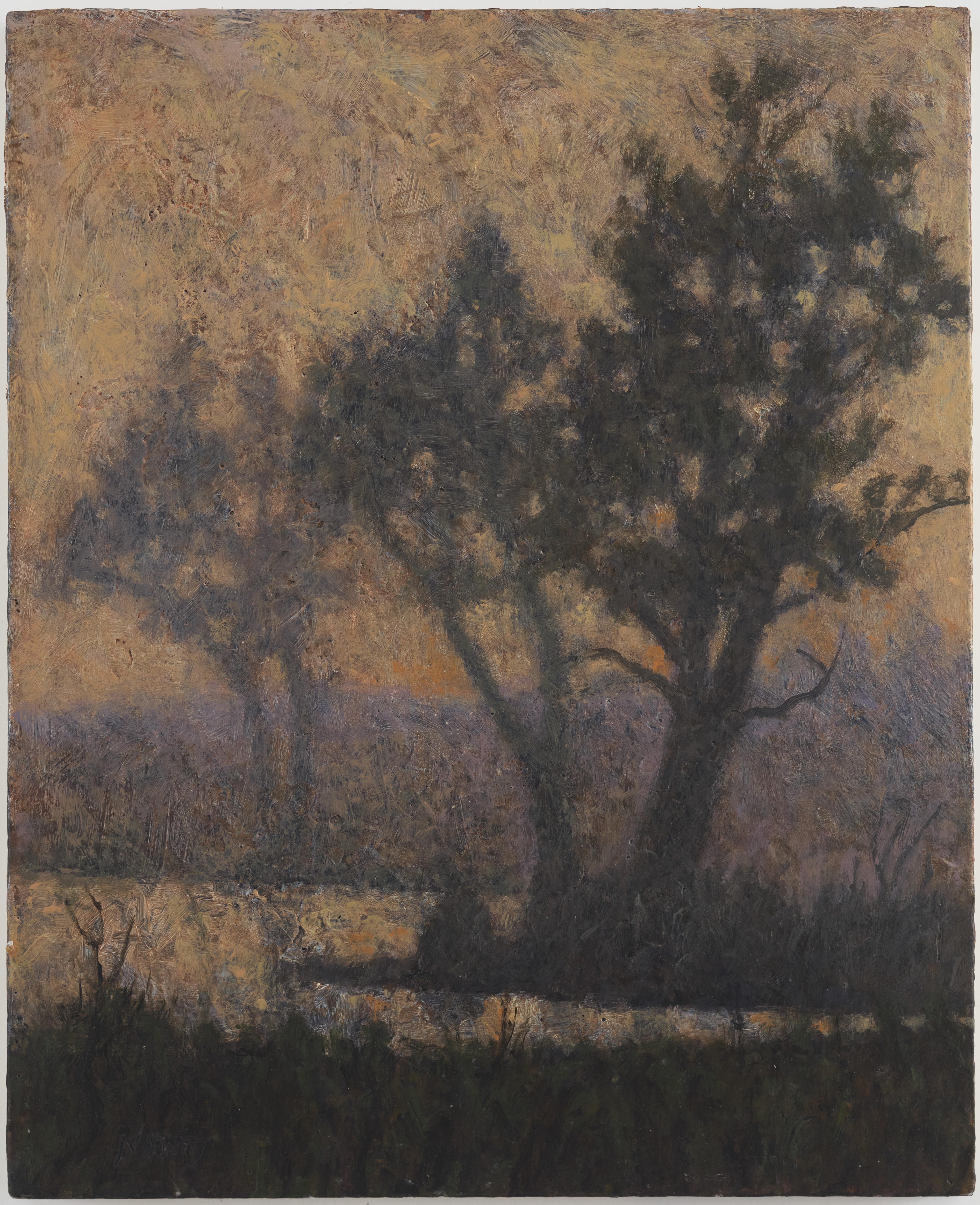 Nigel Hewitt // Signal Hill | Art Collective WA